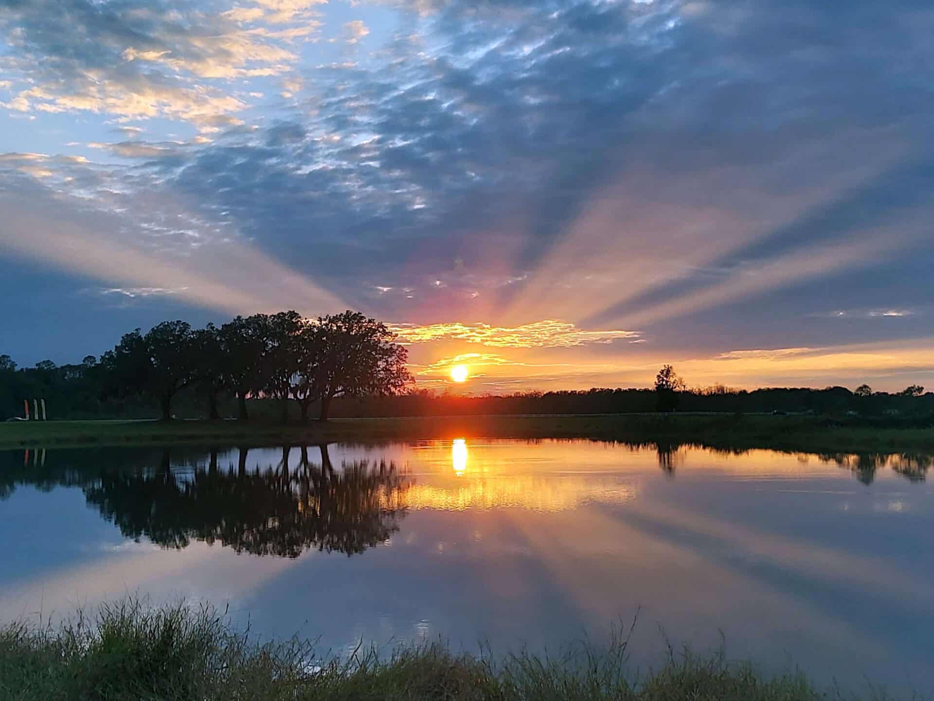 Florida Man Photographs Sunset Every Night to Remember Late Wife of 65 ...