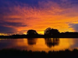 Florida Man Photographs Sunset Every Night to Remember Late Wife of 65 ...