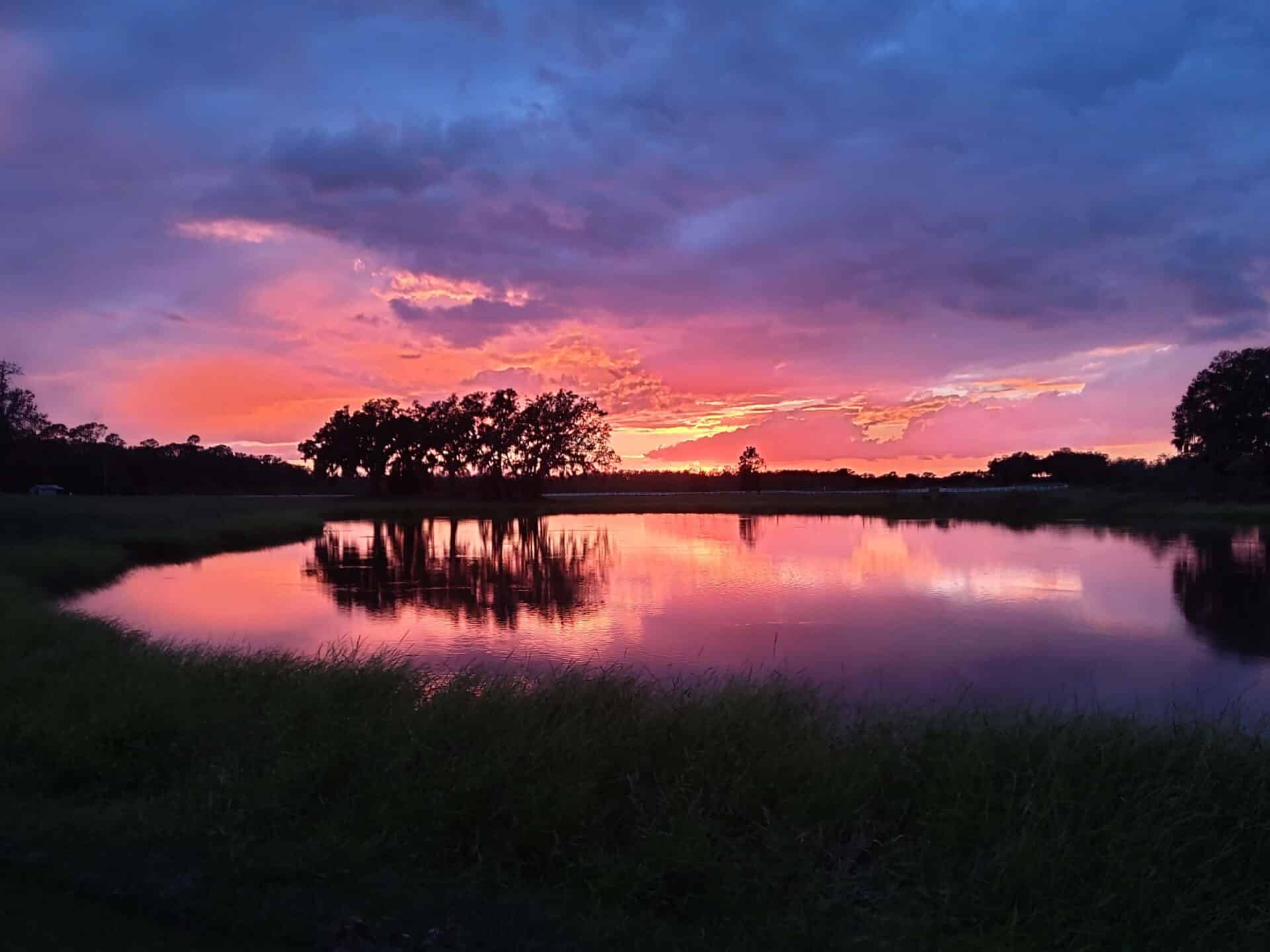 Florida Man Photographs Sunset Every Night to Remember Late Wife of 65 ...