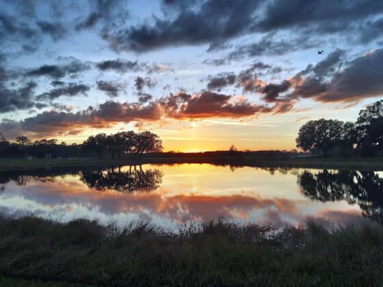 Florida Man Photographs Sunset Every Night to Remember Late Wife of 65 ...