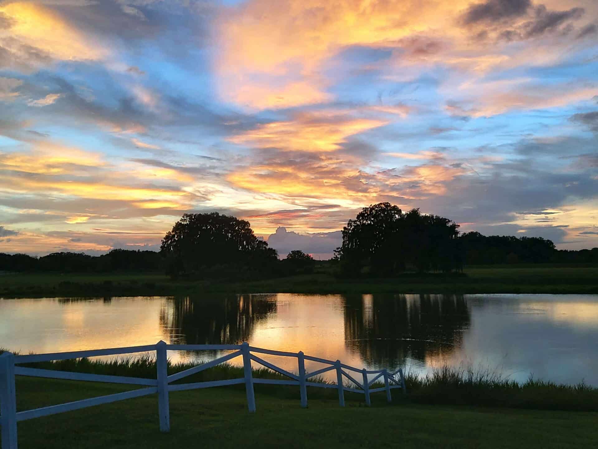Florida Man Photographs Sunset Every Night to Remember Late Wife of 65 ...