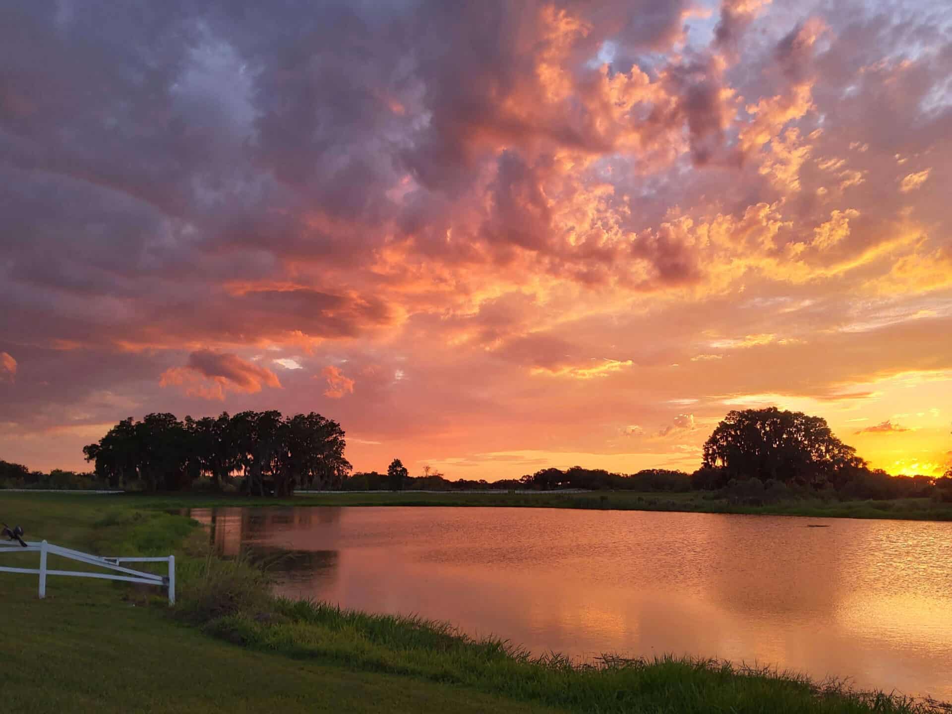 Florida Man Photographs Sunset Every Night to Remember Late Wife of 65 ...