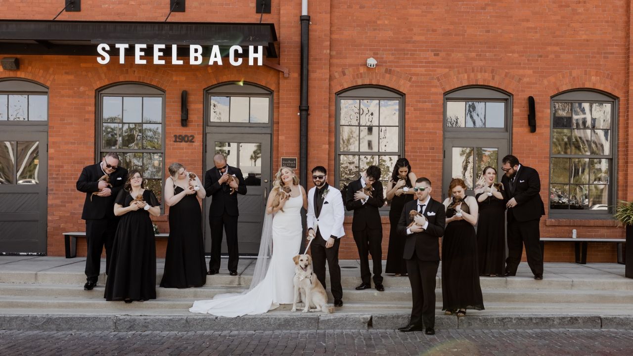 Groom Surprises “Puppy Obsessed” Bride by Bringing Adoptable Pups to ...
