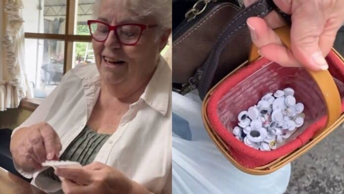Fun-Loving Grandma and Granddaughter Spread Joy With Googly Eye Prank ...