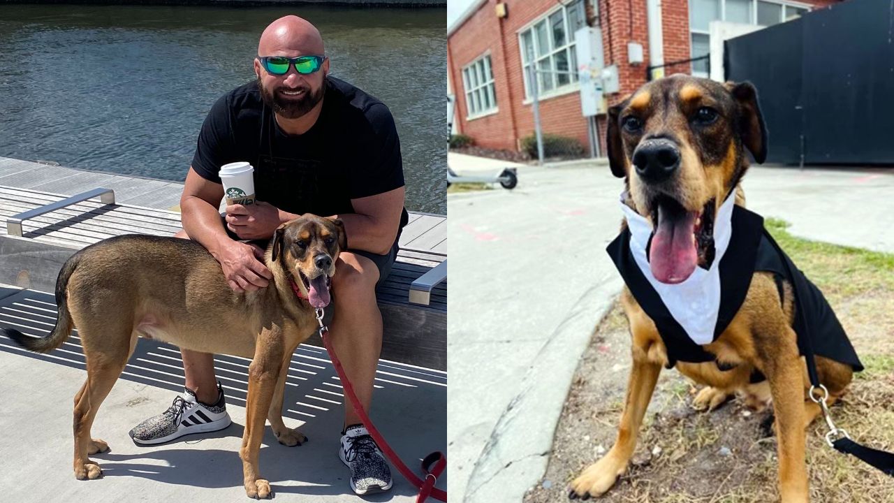 Groom Bursts Into Tears When Bride Surprises Him With Beloved Dog in ...