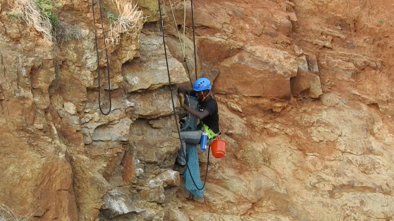 Heroic Volunteers Rescue Goat Stuck on Cliff for Over a Week ...