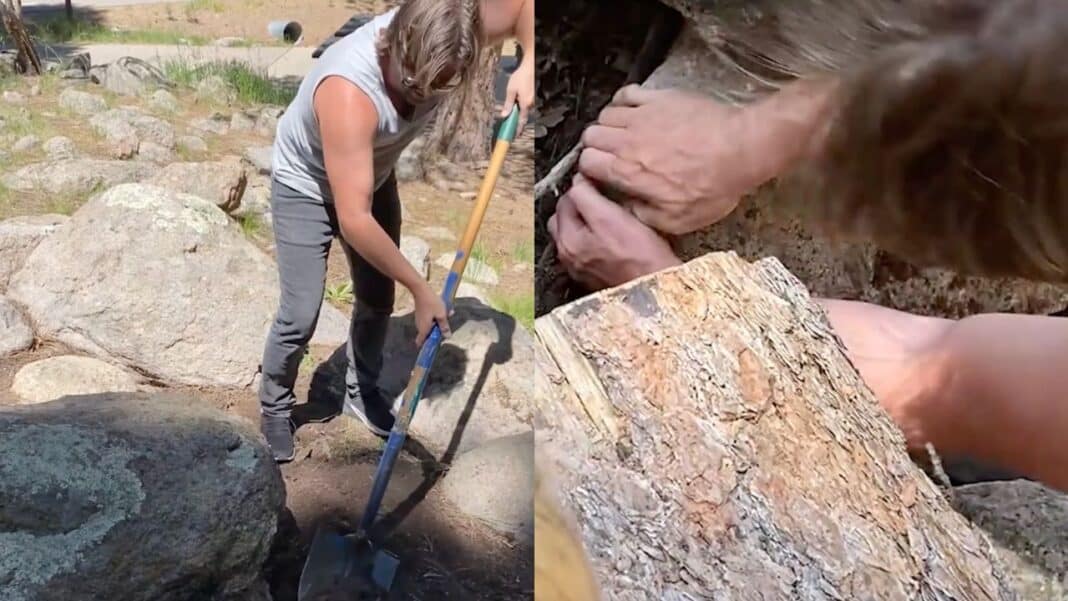 Chipmunk Freed From Boulder After Family Hears Its Cries for Help ...
