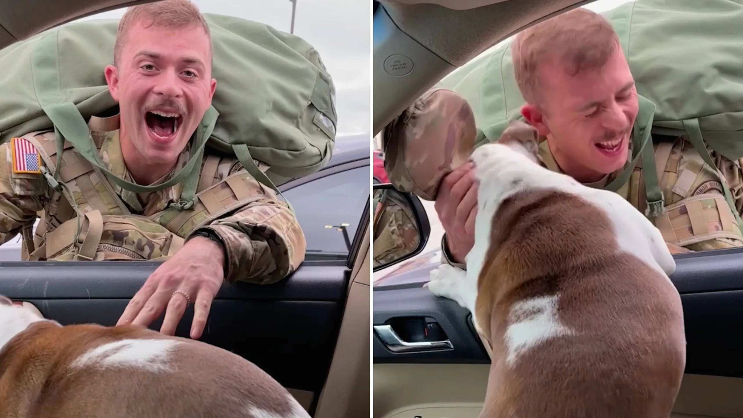 Soldier Dog Reunion Has Everyone Smiling